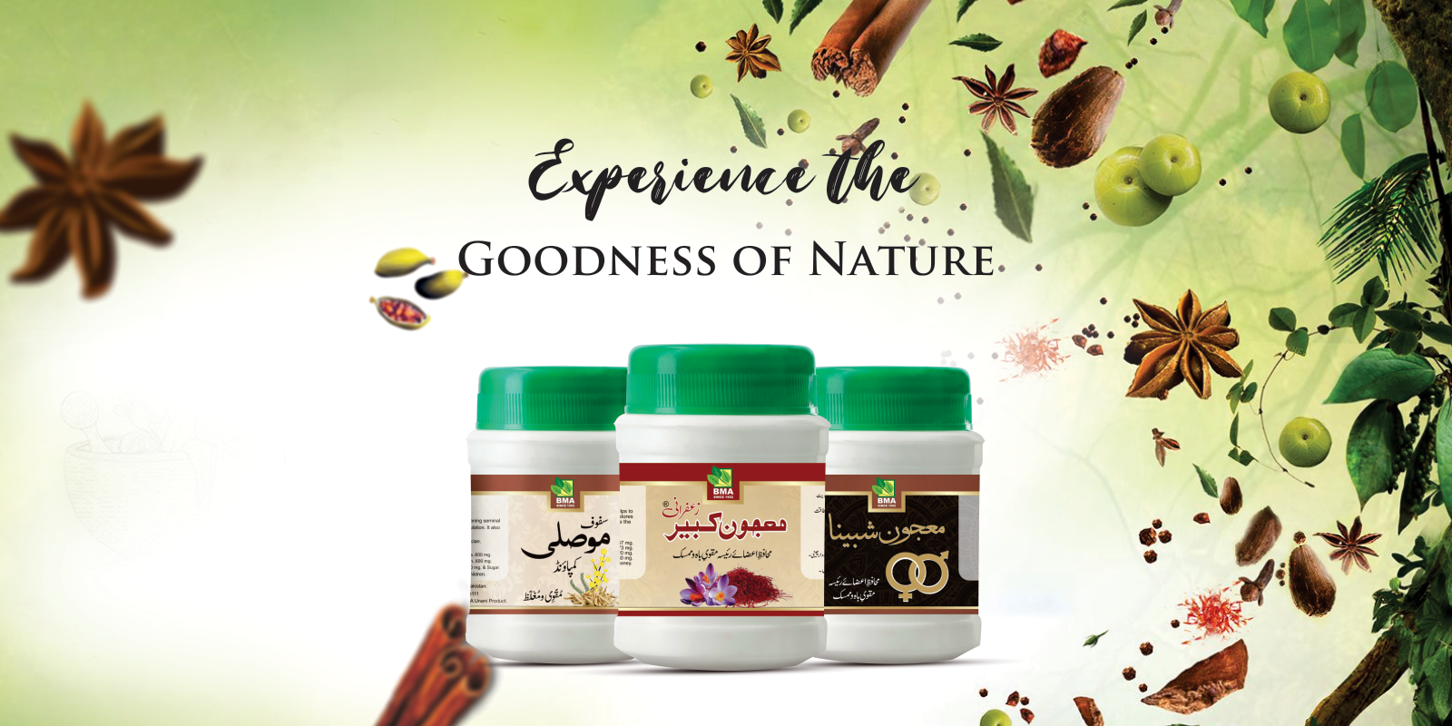 BMA Pharma – BMA Pharma Okara